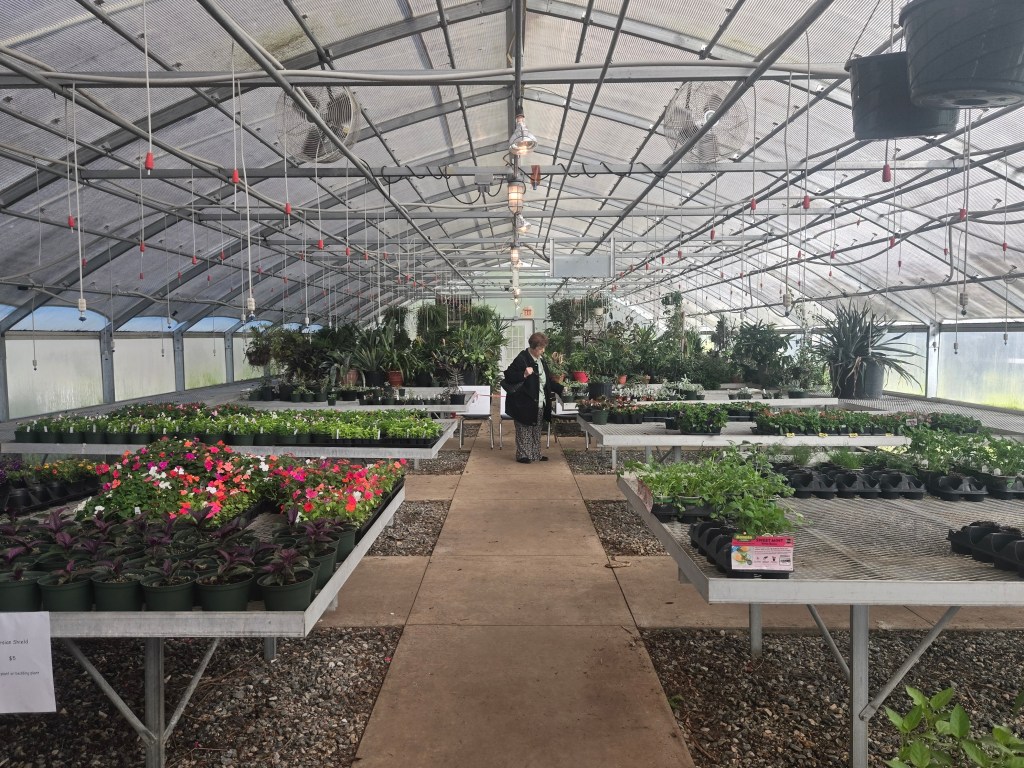 Bainbridge High School FFA hosts annual spring plant sale | The Post ...